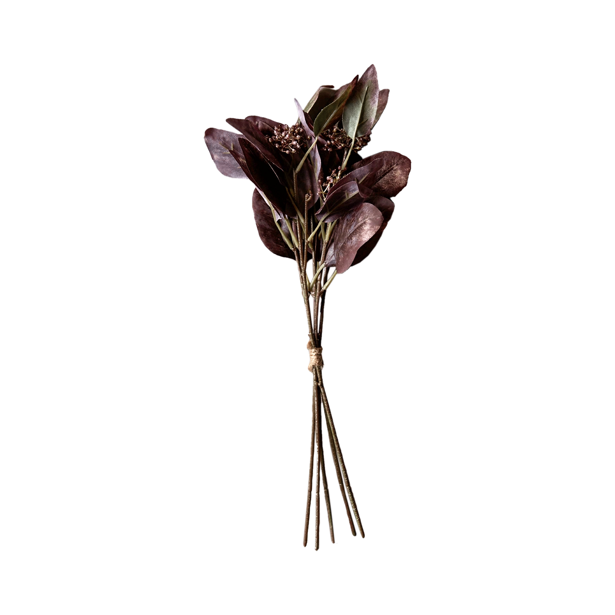 Eucalyptus Ruby Flower Stem – Source by Studio Skara